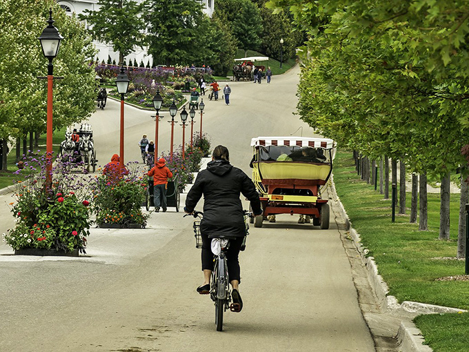 Biking alongside horse carriages on tree-lined paths feels like pedaling through a Norman Rockwell painting come gloriously to life.