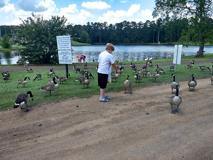 Feeding geese at the lake is practically a Milledgeville citizenship requirement. This young diplomat is clearly negotiating favorable terms with the local waterfowl delegation.