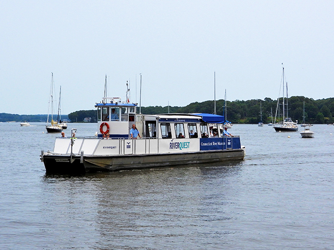 The RiverQuest offers the kind of peaceful exploration that makes you wonder why anyone would choose a crowded beach over this serene waterway.