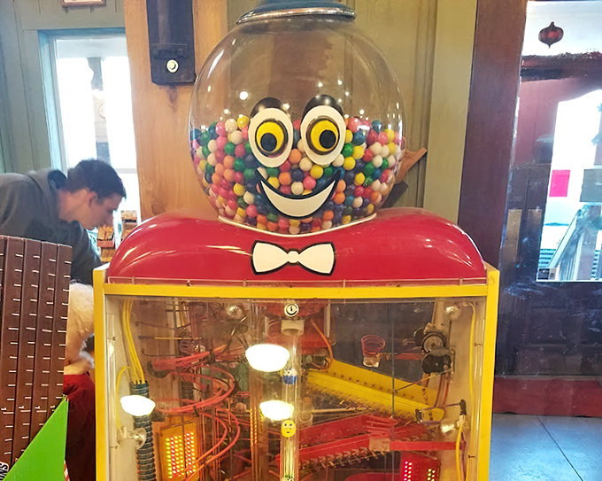 The happiest gumball machine I've ever encountered. That face isn't just decorative—it's the appropriate expression for anyone about to experience such joy.