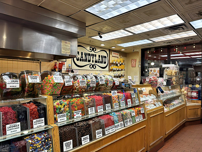 Candy bins stretching into the distance like a sugar-coated horizon – the adult equivalent of that "kid in a candy store" feeling.