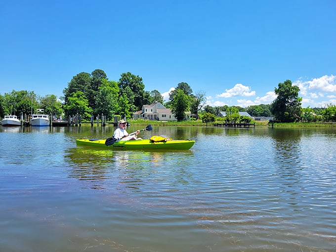 Kayaking the calm waters around St. Michaels is like getting a front-row seat to nature's theater—minus the overpriced concessions and uncomfortable seats.