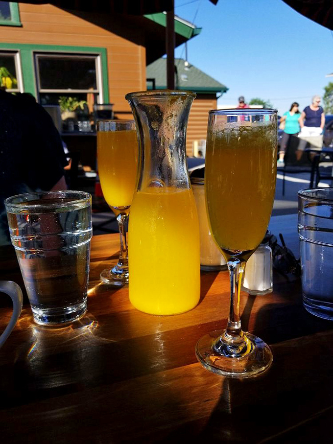 Mimosas in the morning sunshine—because vacation rules apply when the food is this good. That pitcher promises a leisurely brunch ahead.