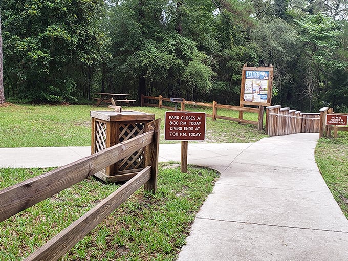 The park's thoughtful pathways guide visitors while protecting the delicate ecosystem. Nature appreciated but not trampled—as it should be.