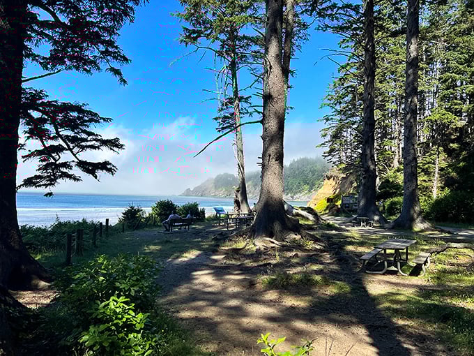 Nature's dining room – picnic tables nestled among towering sentinels offer front-row seats to one of Oregon's most spectacular ocean views.