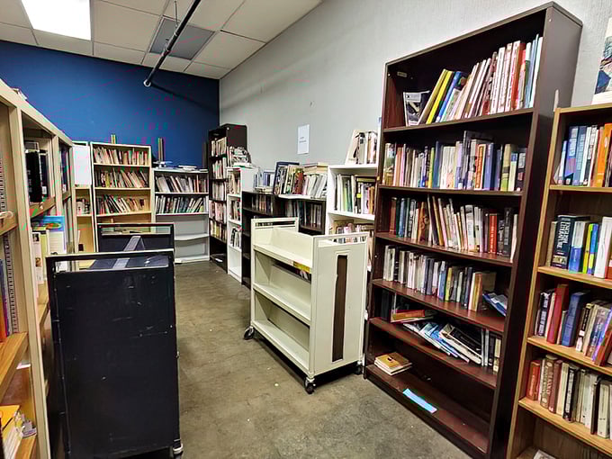 More than just bookshelves—these are portals to other worlds at bargain prices, organized just enough to make treasure hunting exciting.