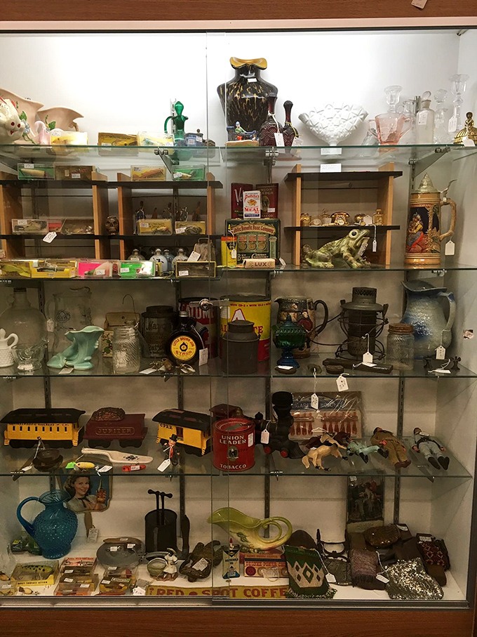 Glass cases protecting treasures both whimsical and wonderful—each shelf a museum curator's dream and a spouse's storage nightmare.