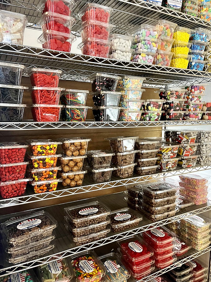 Bags of colorful confections line metal shelves like a candy library, each package a different chapter in the story of American sweet tooth satisfaction.