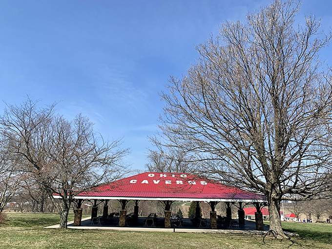 The picnic shelter stands ready for post-exploration refreshments. After all, traveling through time and geology works up quite an appetite!