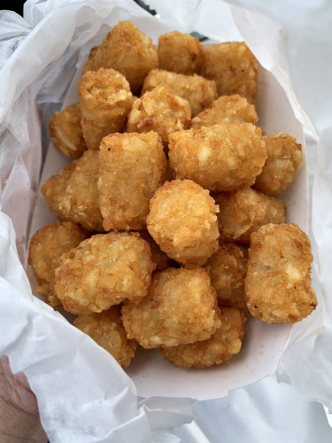 Tater tots – the childhood favorite that never lost its appeal. These golden nuggets of potato perfection make a compelling case for never growing up.