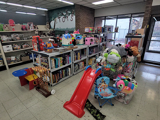 The toy section – where childhood nostalgia gets a second chance. That red slide has probably hosted more giggling descents than a water park.