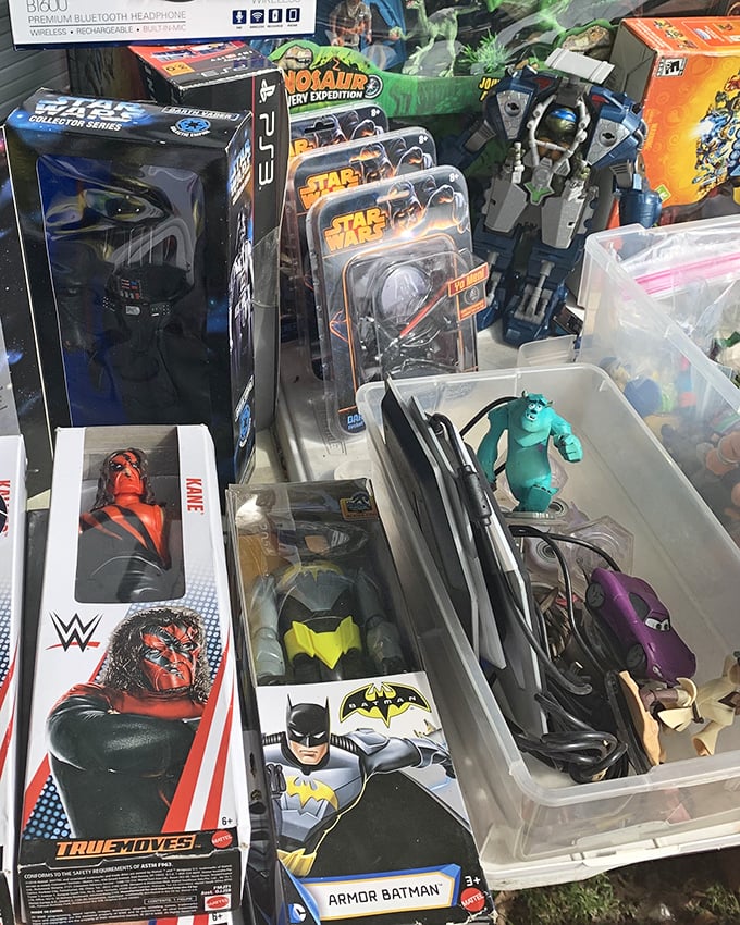 Nostalgia by the boxful. From Sully to Batman to Kane, these action figures are just waiting to escape their plastic prisons.