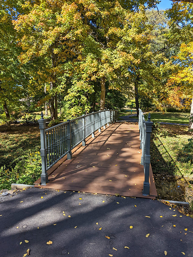 Autumn in Wabash paints with a palette that makes even professional photographers question their filter choices. This bridge leads to somewhere worth going.