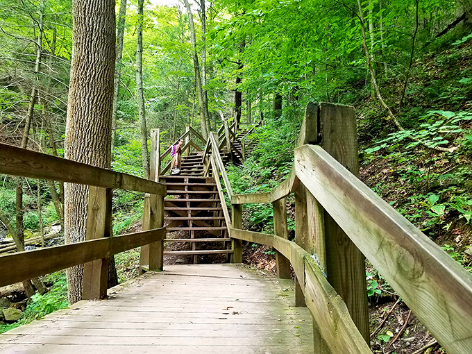These wooden steps don't just lead through the forest—they're an invitation to adventure that your FitBit will thank you for accepting.