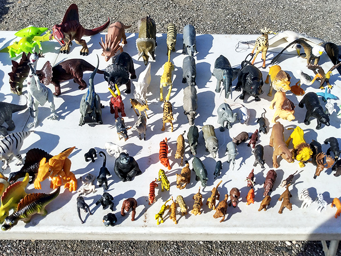 Miniature safari without the airfare or mosquito repellent. These tiny creatures offer big imagination opportunities for collectors young and old.