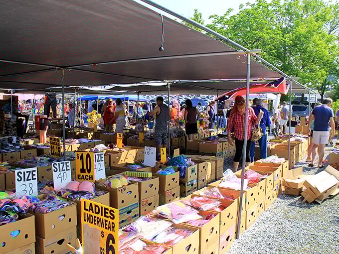 Blue Ridge's covered market area offers shade and treasures in equal measure, with bins of potential finds awaiting eagle-eyed shoppers.