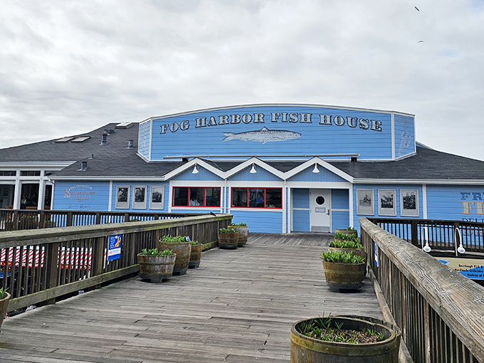Sausalito's fish and chips tradition lives on in charming spots like this waterfront favorite.
