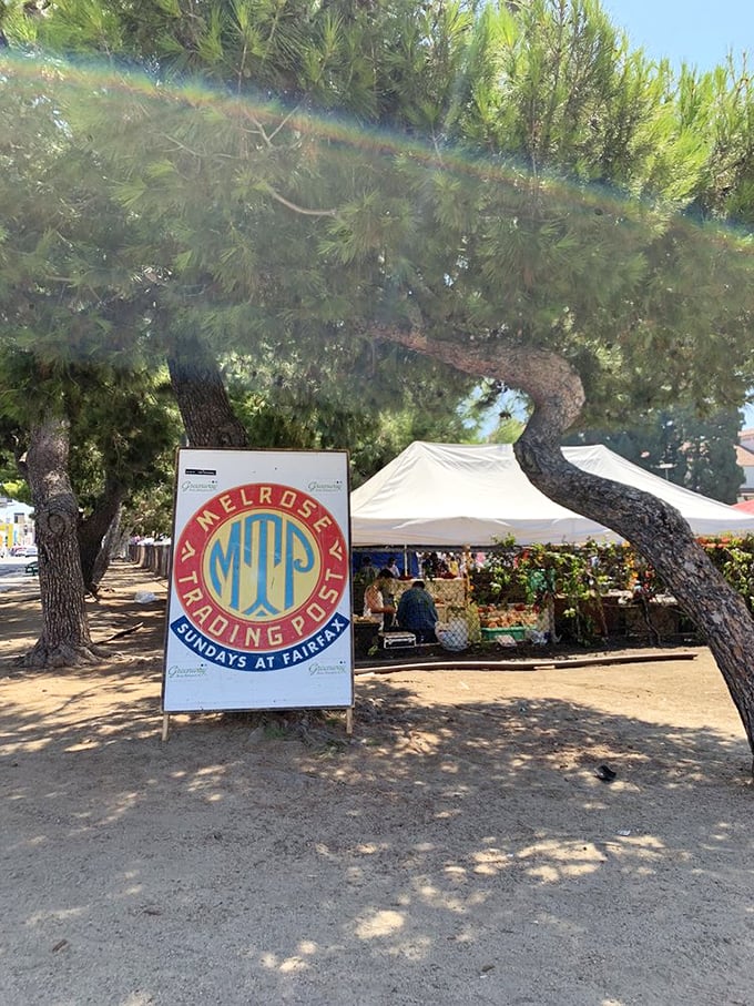 Melrose Trading Post: where pine trees provide shade for LA's coolest Sunday shopping ritual.