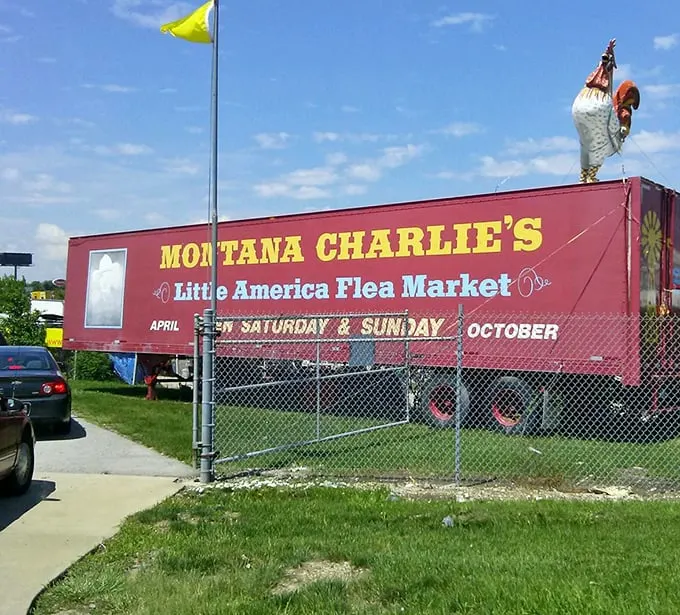 That giant rooster isn't just crowing about dawn—he's announcing treasure hunting season at Montana Charlie's!