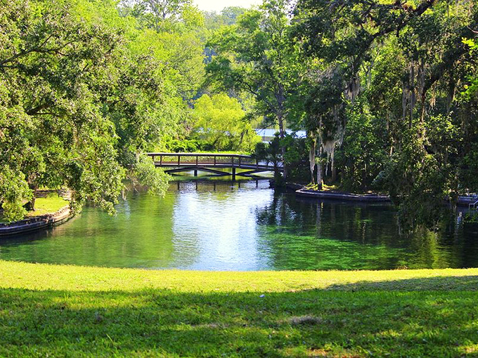 Wekiwa Springs' circular swimming hole offers a natural alternative to Orlando's chlorinated attractions—and it's just as magical.