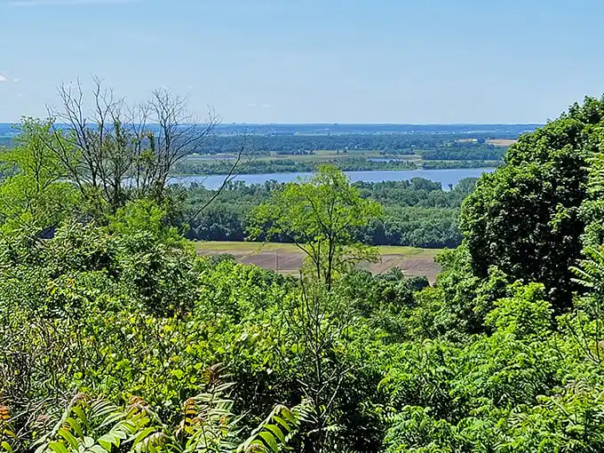 Jaw-dropping vistas! Pere Marquette's elevated lookouts reveal the mighty Illinois River winding through a patchwork of forests and fields.
