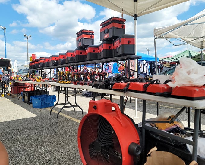 Shoppers navigate Westland's rows of merchandise under sunny skies—each table a potential goldmine of unexpected finds.