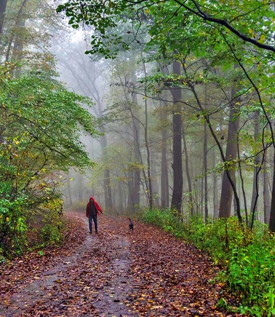 alabama state park getaway ftr