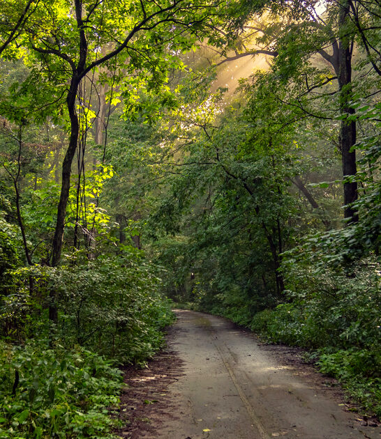 alabama state park nature ftr