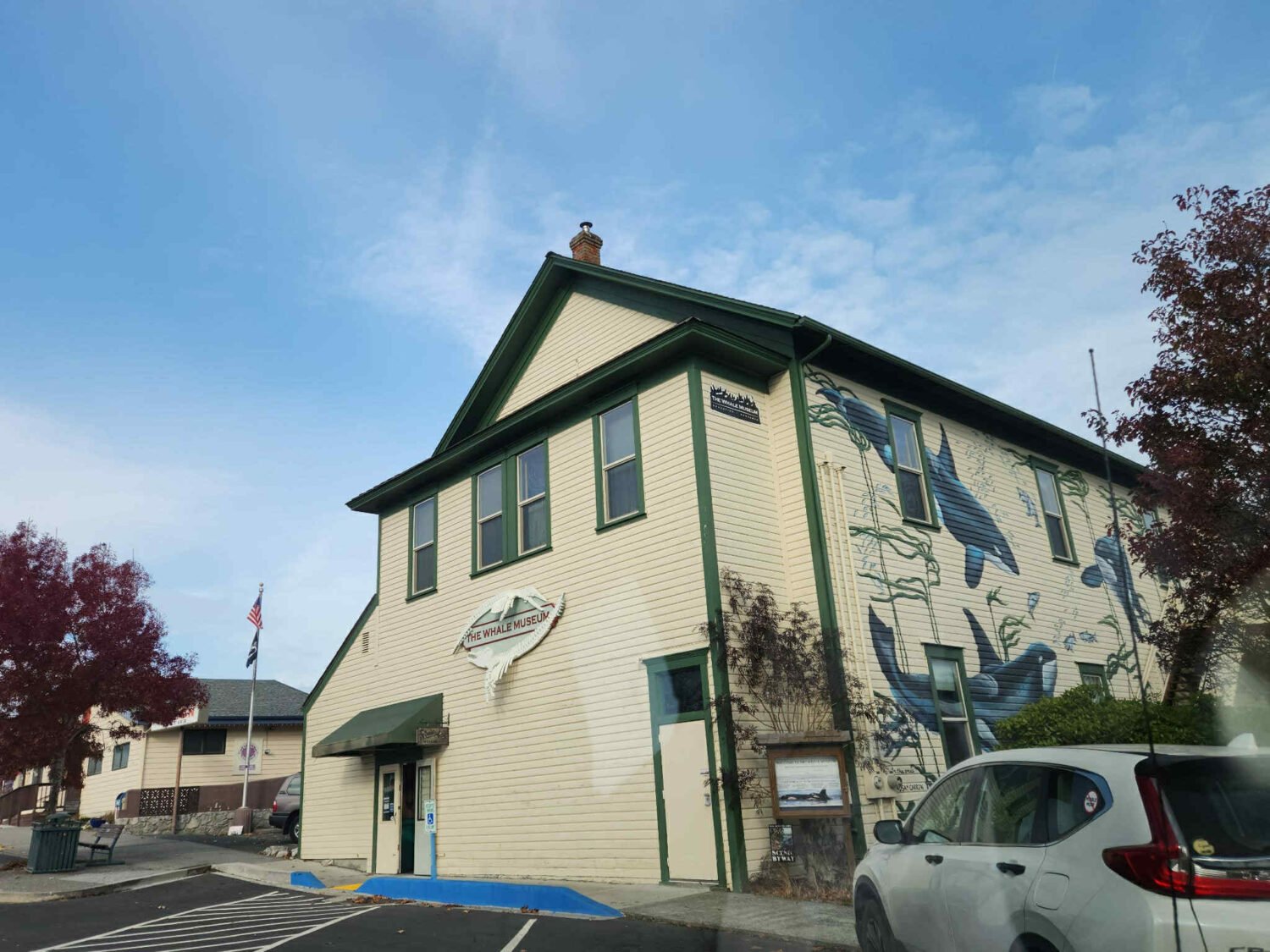 The Whale Museum's charming exterior belies the magnificent creatures celebrated within—much like the unassuming waters that hide orcas, humpbacks, and minkes.