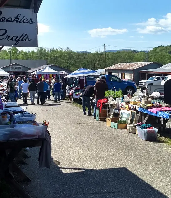 bargain dreams north carolina ftr