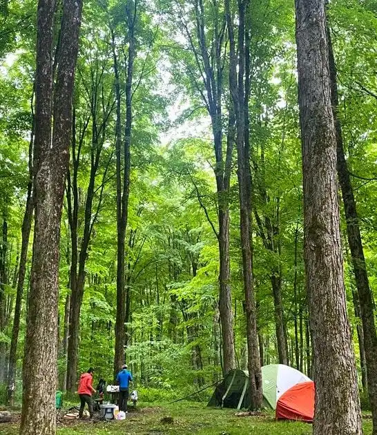 best connecticut nature park ftr