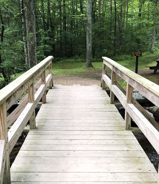 connecticut forest park adventure ftr