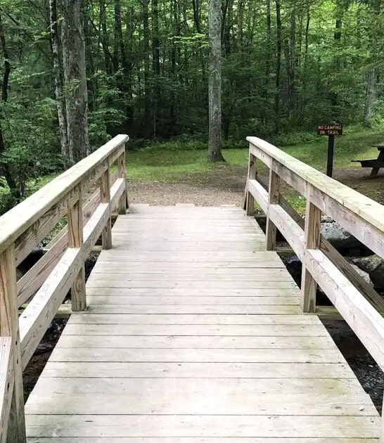 connecticut forest park adventure ftr