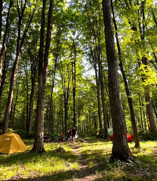 connecticut forest park experience ftr
