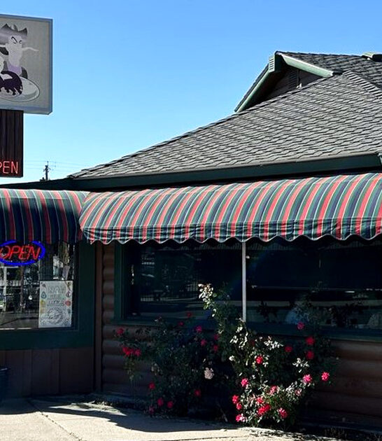 cozy sandwich restaurant nevada ftr