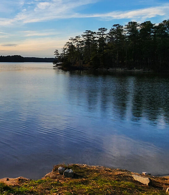 dreamy south carolina park ftr