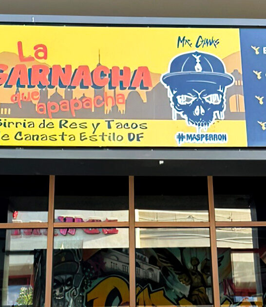 drive idaho nachos restaurant ftr