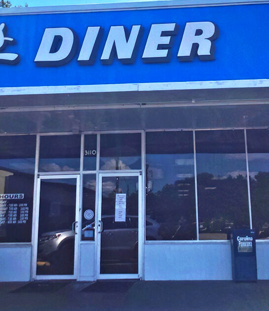 drive south carolina diner ftr