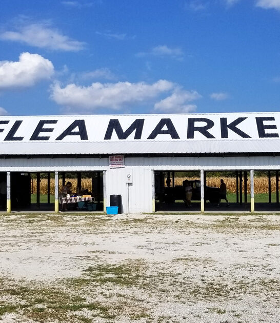 enormous bargain meet missouri ftr