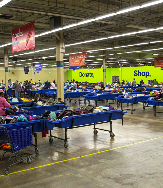 enormous thrift arkansas true ftr