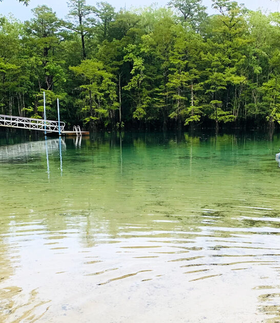 florida beautiful underrated spring ftr