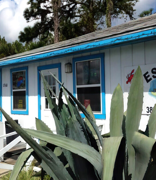 frogs legs florida restaurant ftr