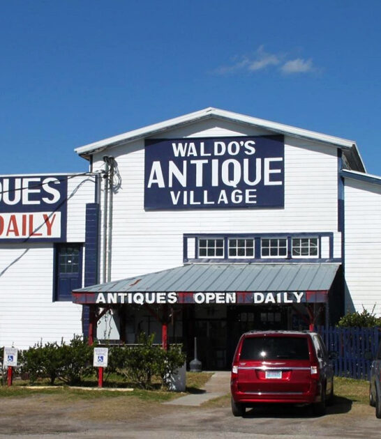 indoor flea shop florida ftr