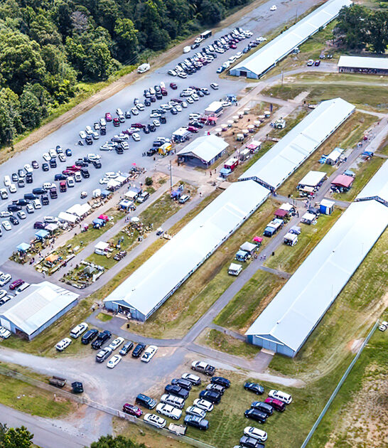 louisiana hunt massive bargains ftr