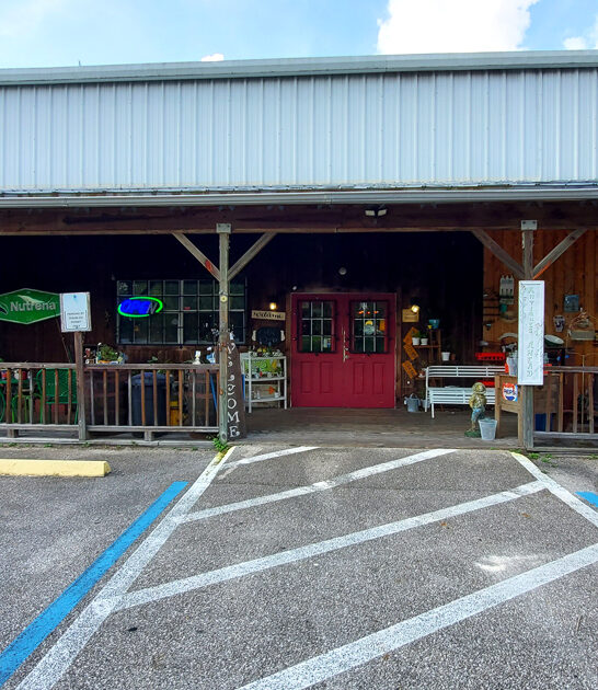 massive vintage treasures florida ftr