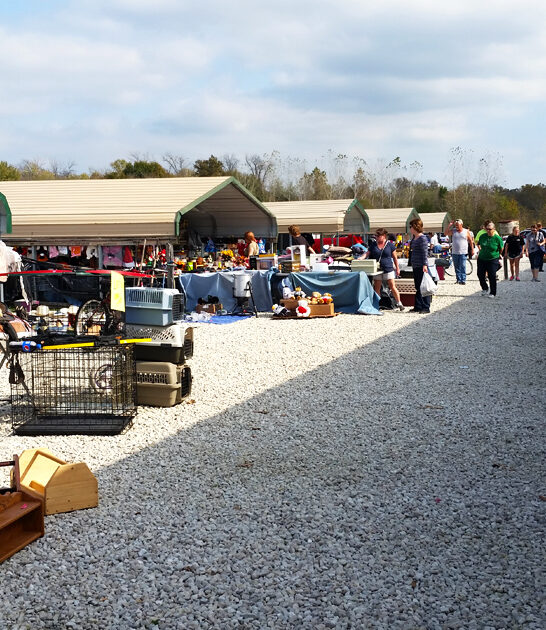 missouri hunt bargains massive ftr