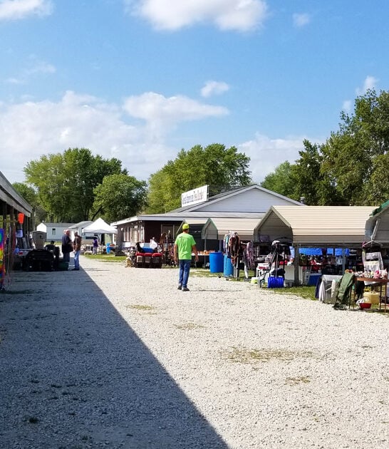 missouri market bargain hunters ftr