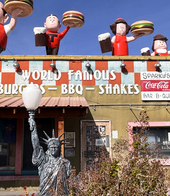 new mexico best fries ftr