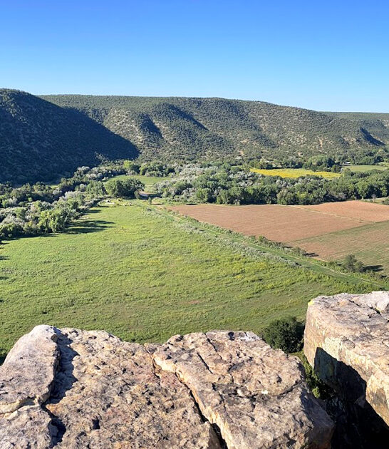 new mexico scenic park ftr