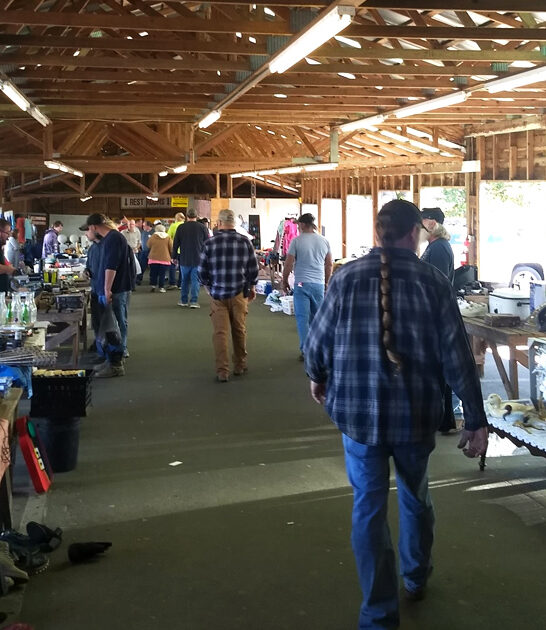 north carolina treasure hunt ftr
